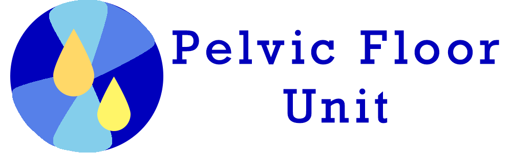 Pvu Logo Pvu Letter Logo Design In Six Style Polygon Vector Image